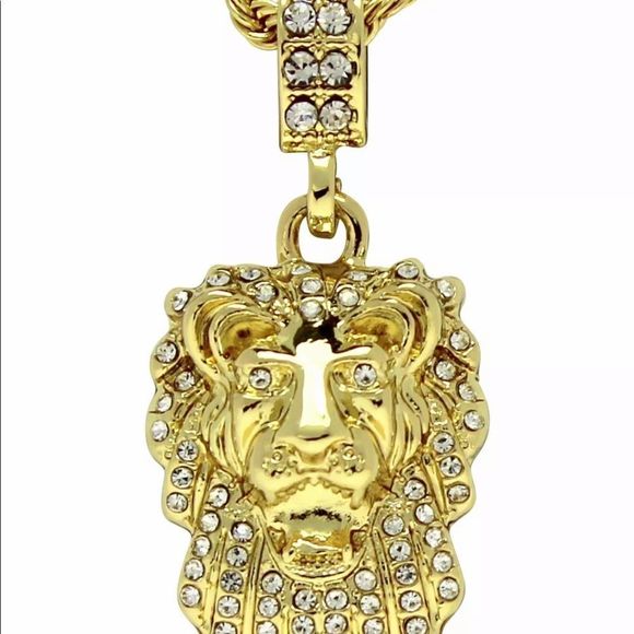 Accessories | 14k Gold Plated Iced Out Lion Head 2 Rope Chain | Poshmark